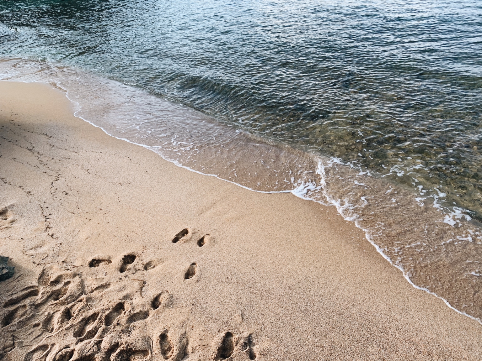 2020 10 | LES ROCHES ROUGES, FRANCE | living on a beach | by eric röttinger