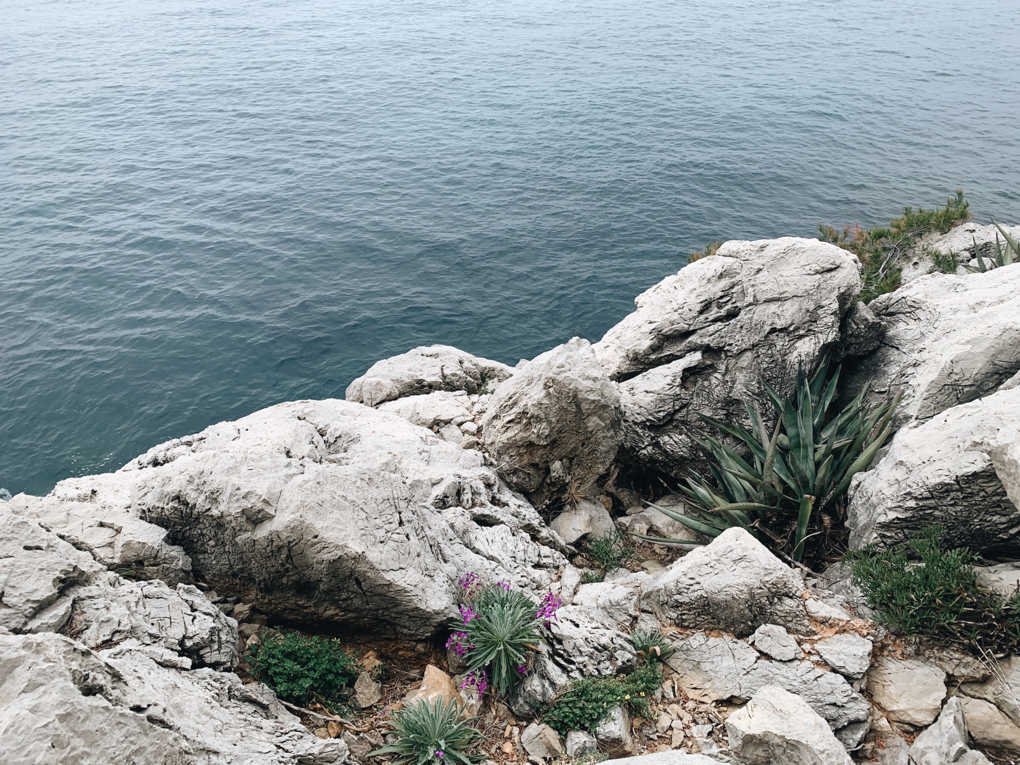 2020 10 | LES ROCHES ROUGES, FRANCE | living on a beach | by eric röttinger