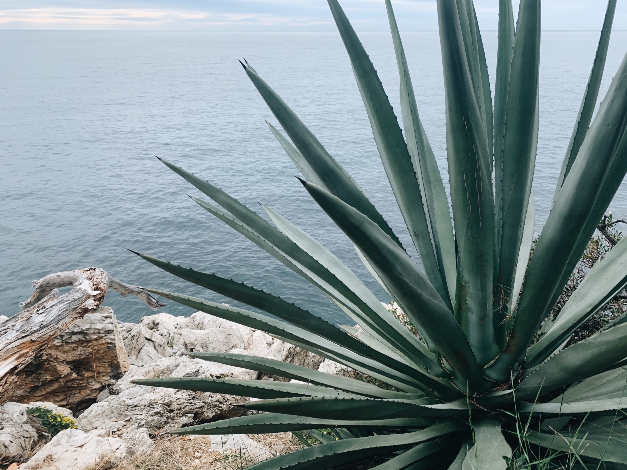 2020 10 | LES ROCHES ROUGES, FRANCE | living on a beach | by eric röttinger